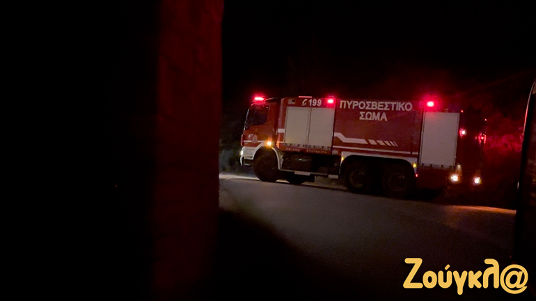 Ζάκυνθος: Φωτιά σε δασική έκταση ανάμεσα στα χωριά Λιθακιά και Κοιλιωμένο - Zougla